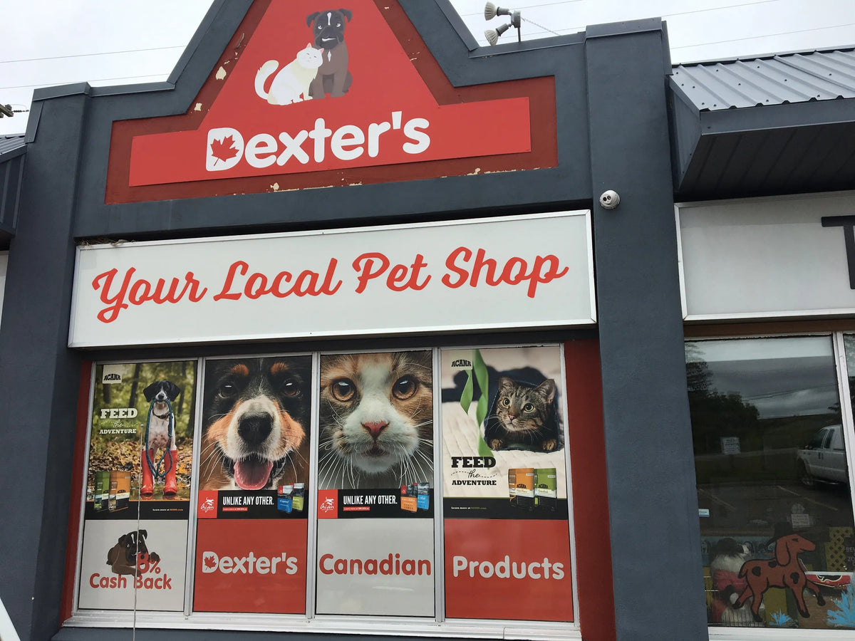Local Business Spotlight - Dexter's Pet Shop – Smack Pet Food