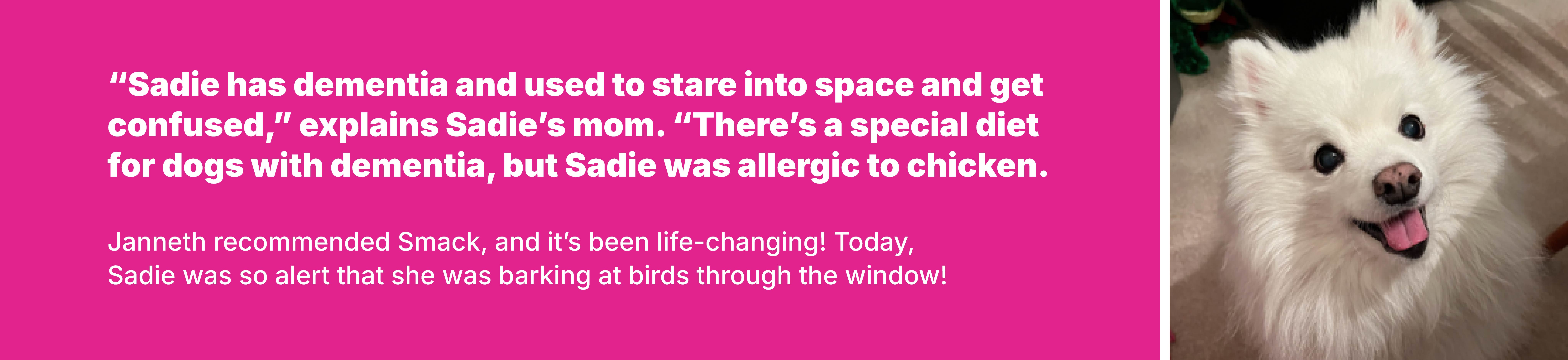 Bone & Biscuit: Calgary Legacy Corner – Smack Pet Food