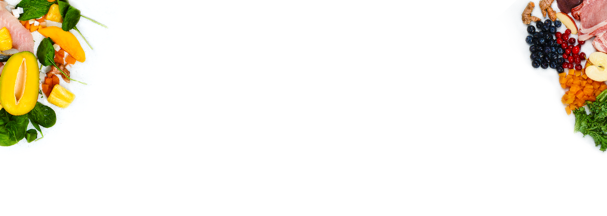 Shop Smack – Smack Pet Food